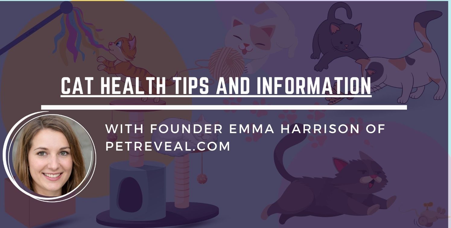Cat Health Tips and Information - Pet Reveal